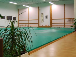 home-dojo | Ryu Seki Kai - Aiki Dojo